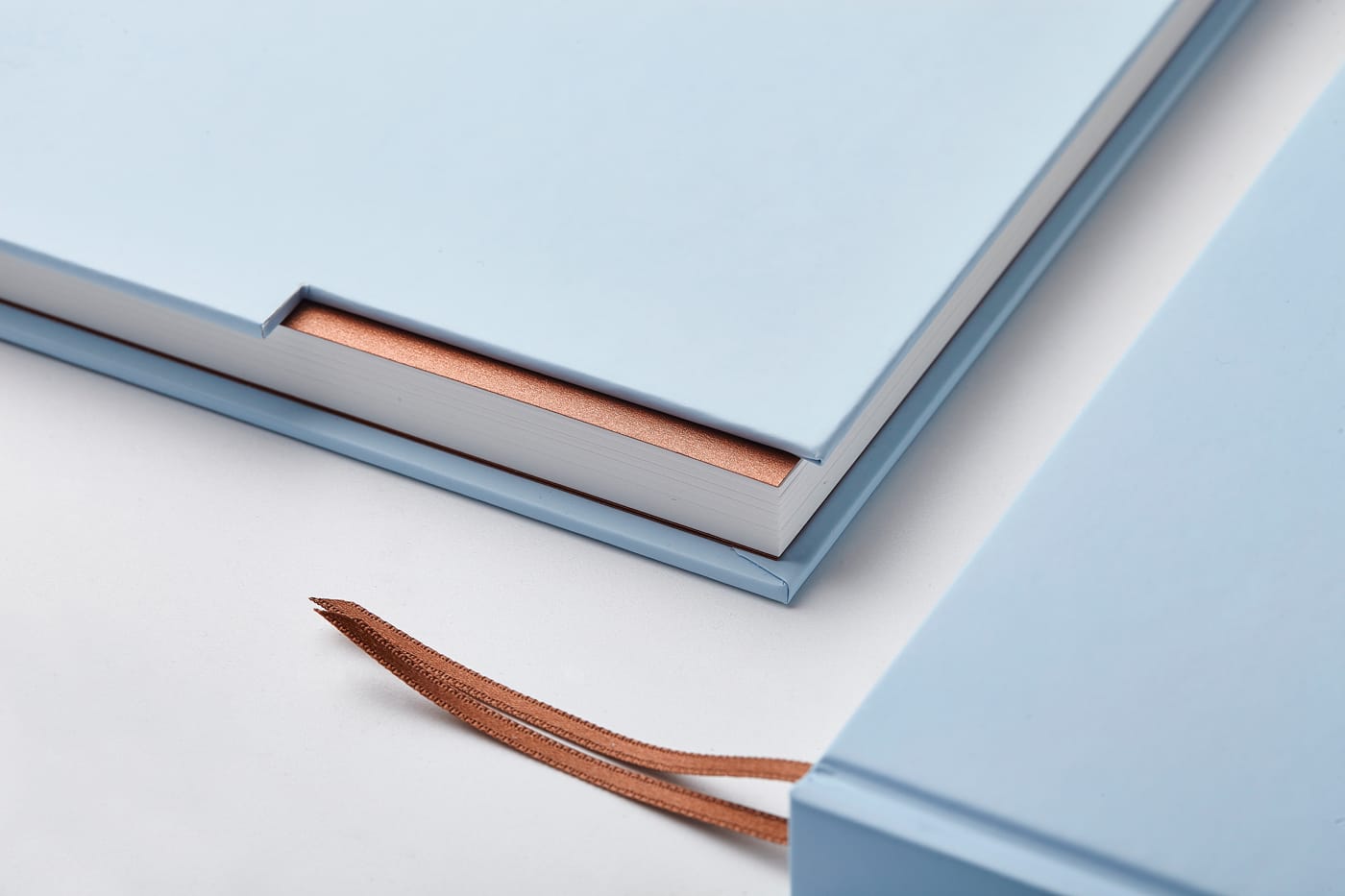 Mireia Ferrer Global Coach | Zoo Studio